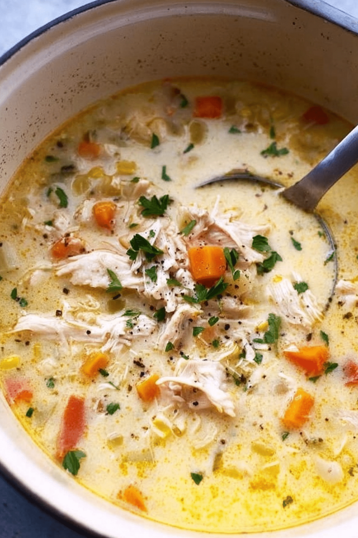 Creamy Chicken Vegetable Soup – Easy & Quick Recipe - The Sisters Cooking