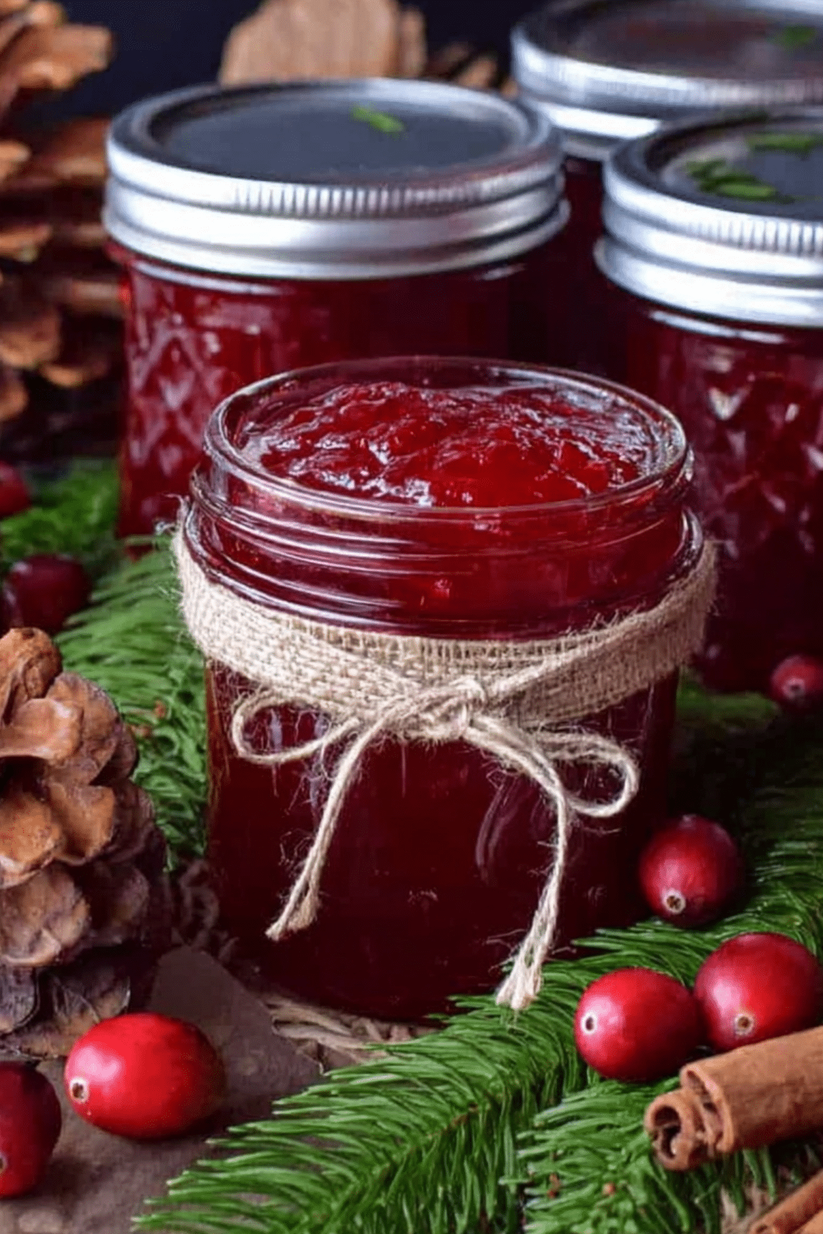 Spiced Christmas Jam – Best Recipe - The Sisters Cooking